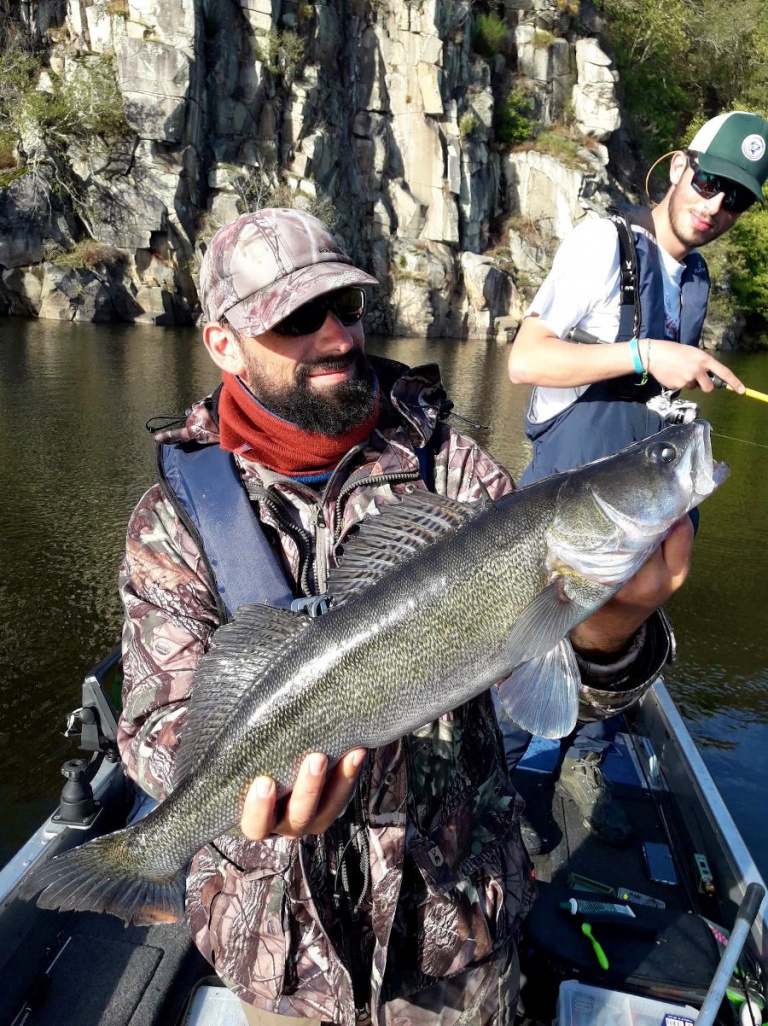 Guidage pêche sandre aux leurres en bateau, en Seine